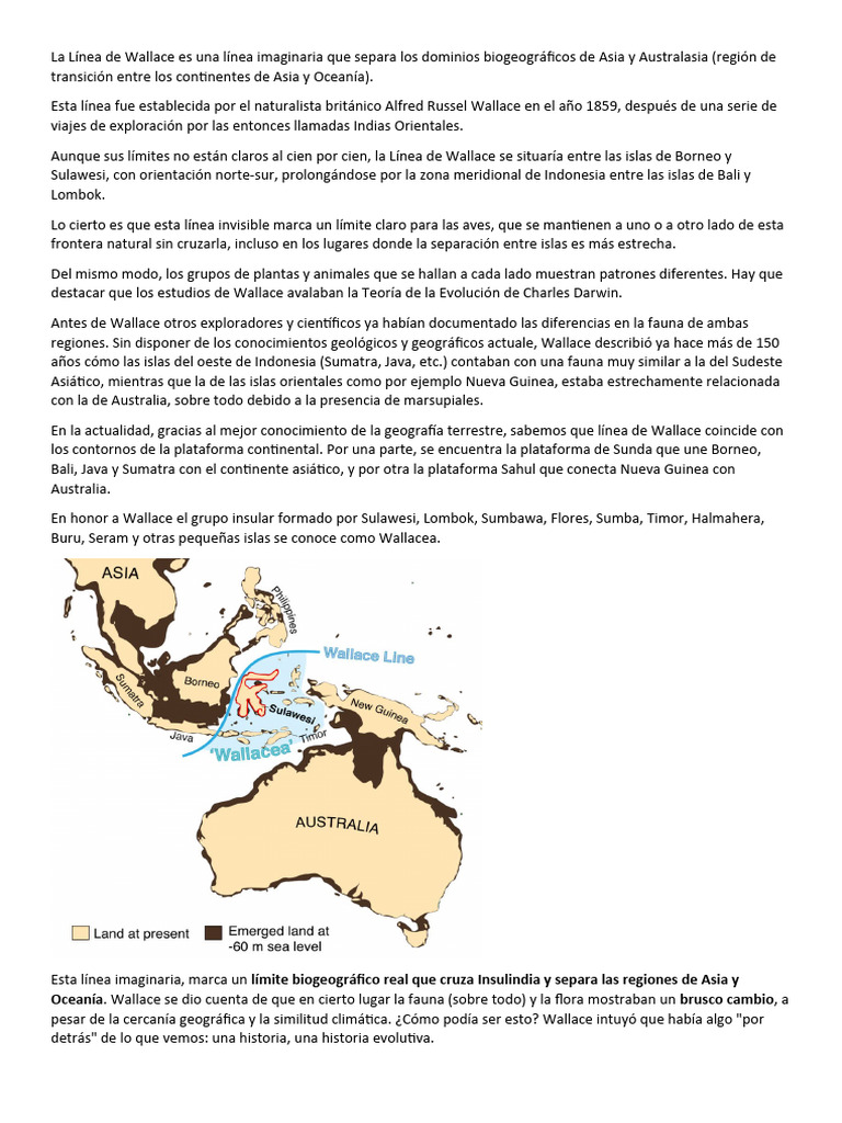 La Línea de Wallace y su Biogeografía | PDF | Ciencias de la Tierra