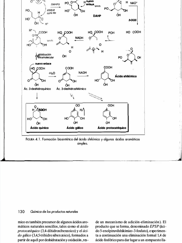 Pdf Quimica De Prod Naturales Pdf Solo 20 Págs Pdf Sustancias