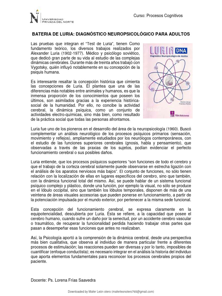 Test de Luria: Diagnóstico Neuropsicológico | PDF | Neuropsicología ...
