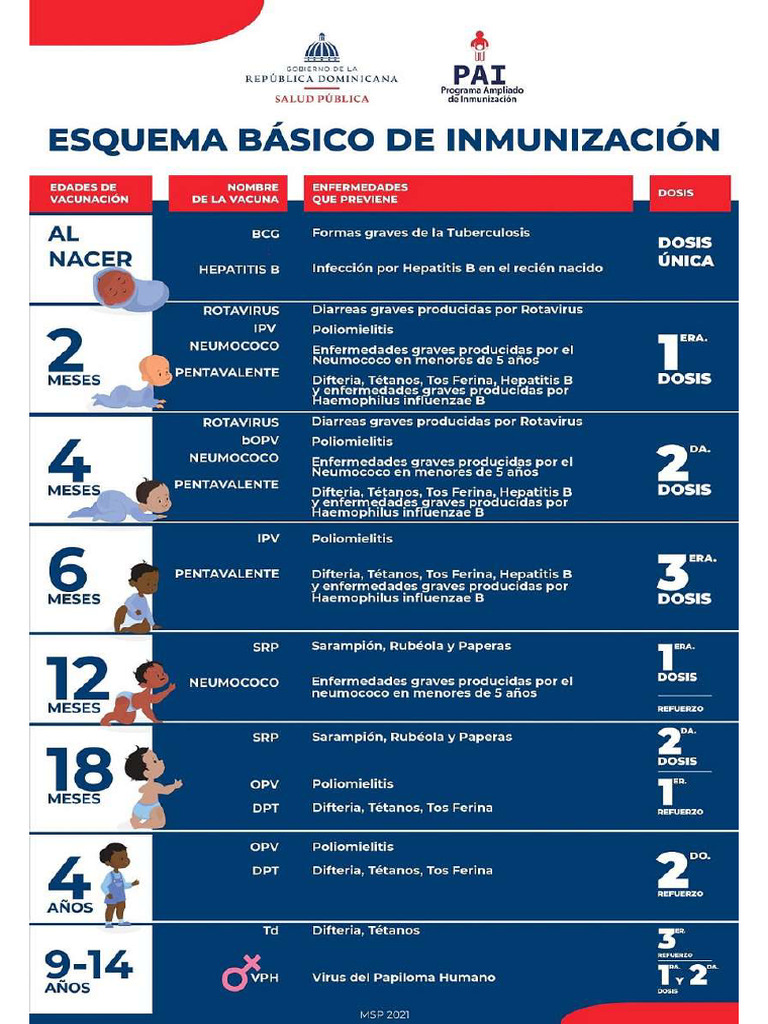 Esquema Basico de Inmunizacion | PDF