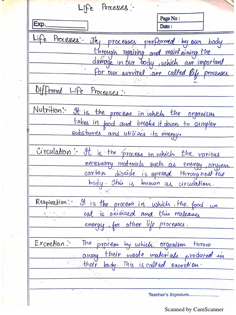 class 10 Hand written Biology Notes | PDF