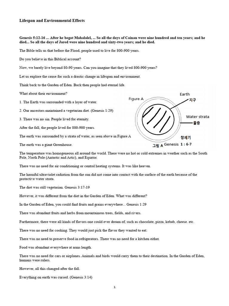 8. Lifespan and the Environment_Eng | PDF | Genesis Flood Narrative | Earth