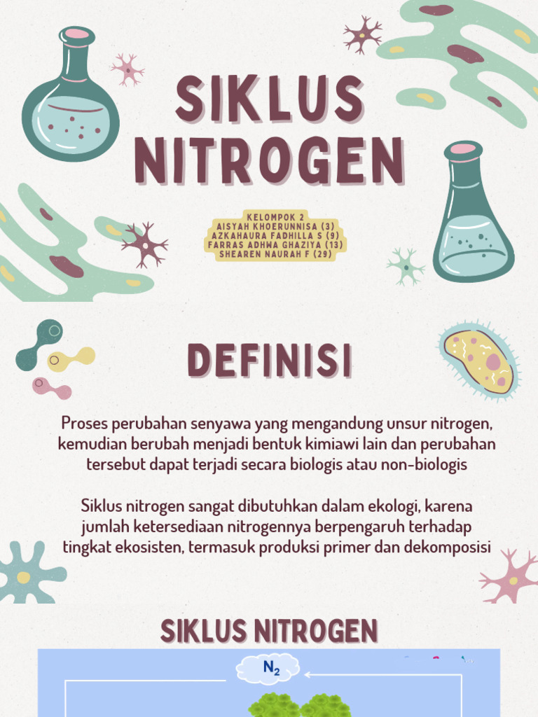 Siklus Nitrogen | PDF