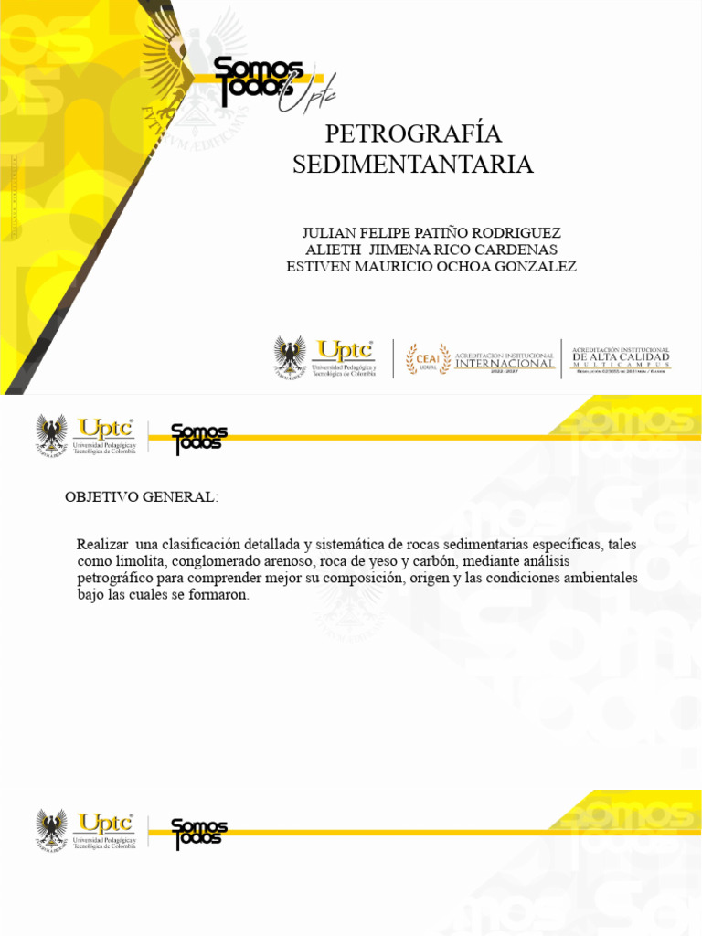 Petrografia Sedimentaria | PDF | Roca clástica | Roca sedimentaria