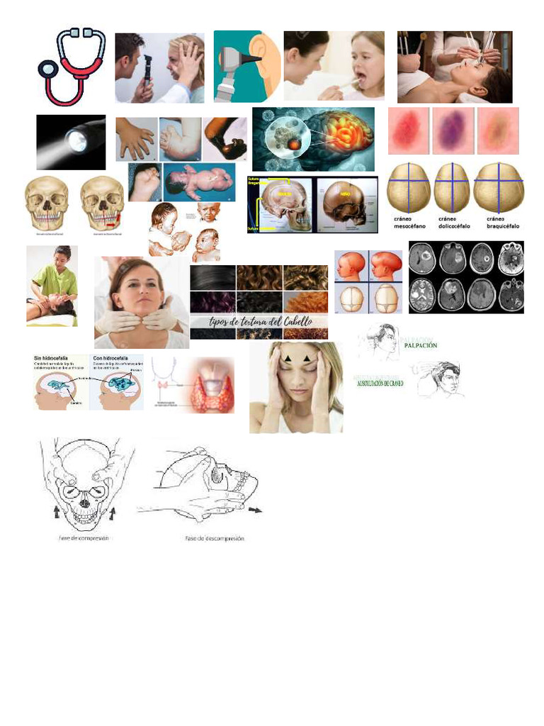 Imagen de Semio | PDF