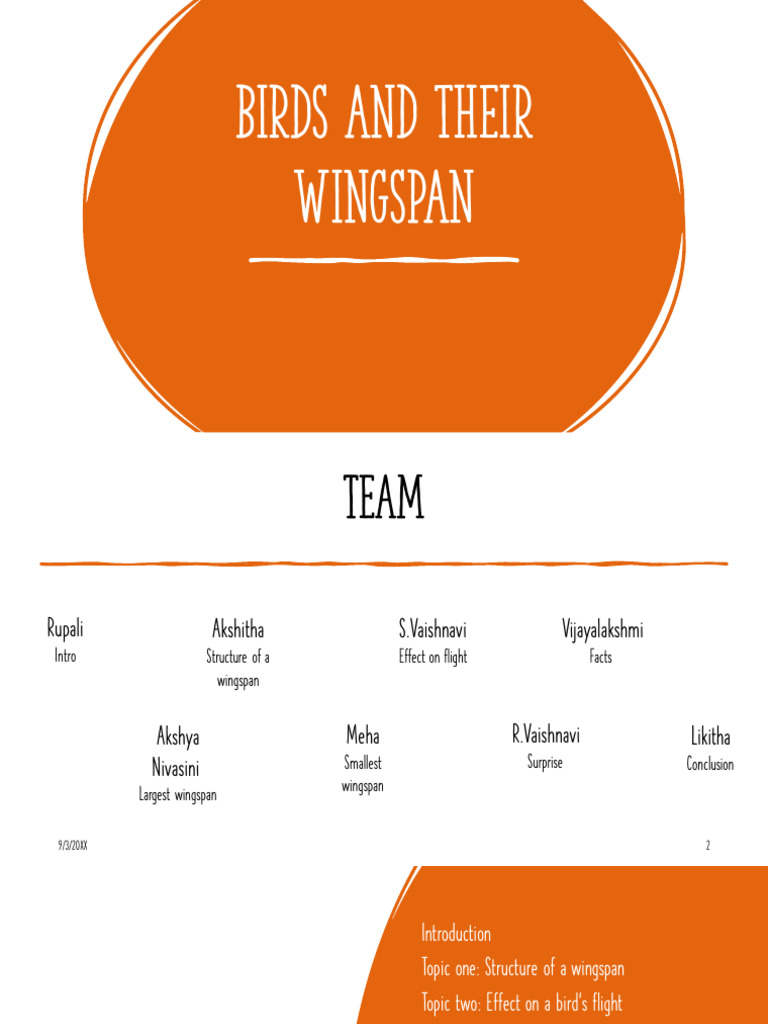 Birds and Their Wingspan | PDF | Lift (Force) | Birds