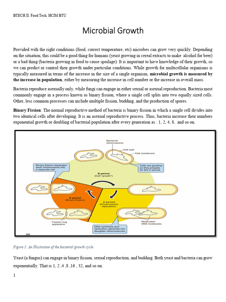 Food TEch. Microbial Growth | PDF | Bacteria | Microorganism
