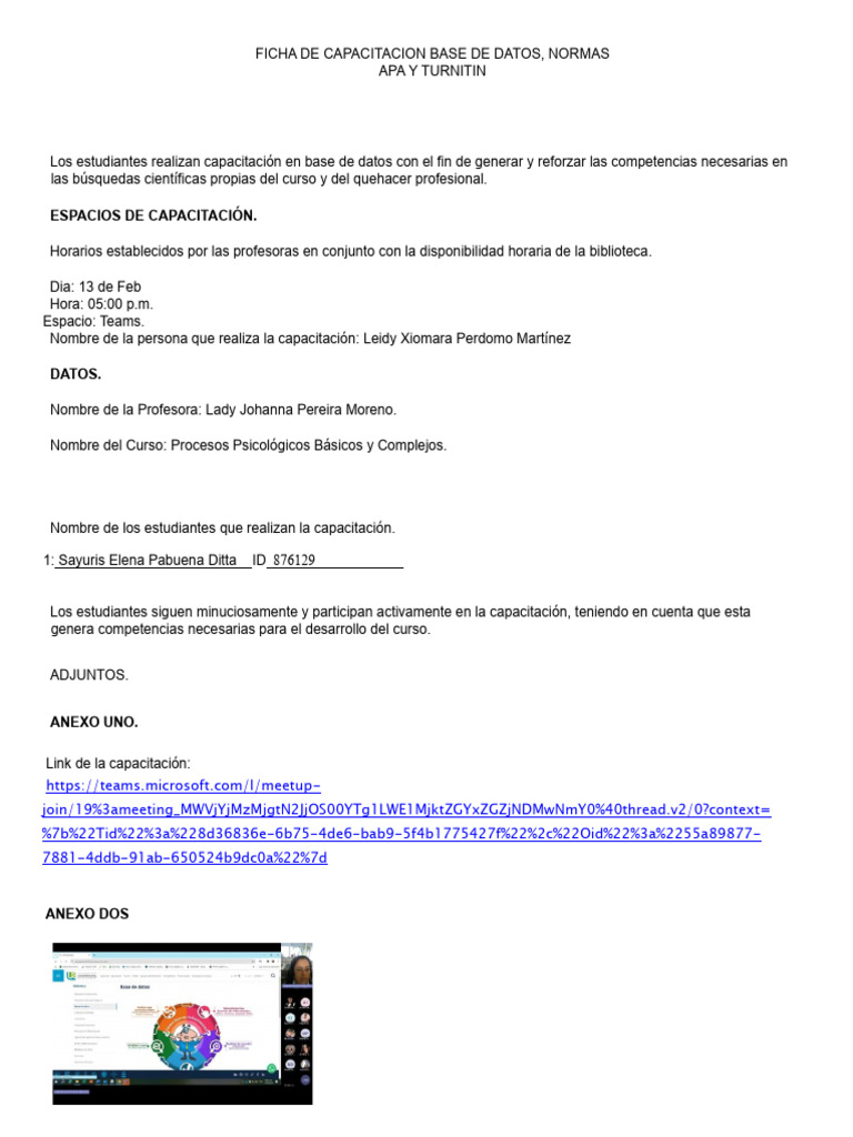 Capacitación en Bases de Datos y APA | PDF | Turnitin