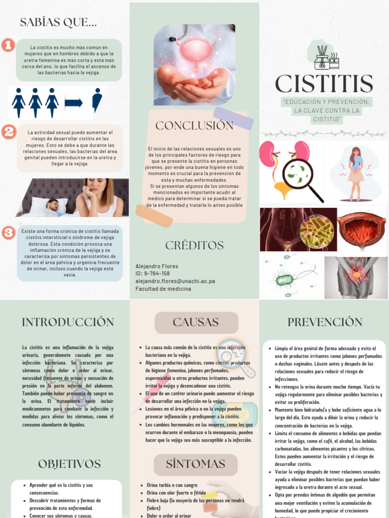 Cistitis Triptico | PDF | Infección del tracto urinario | Medicina CLINICA