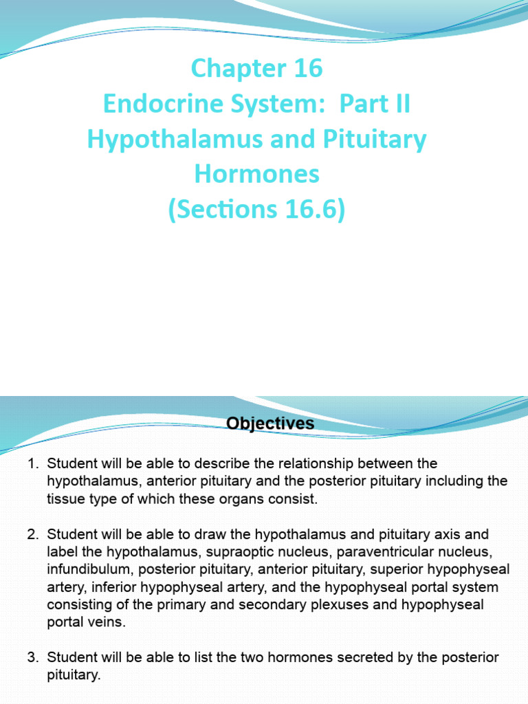Hypothalamus and Pituitary Hormones Overview | PDF | Hypothalamus ...