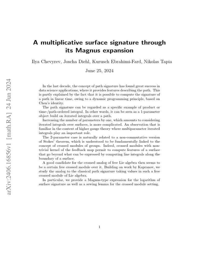 A Multiplicative Surface Signature Through Its Magnus Expansion | PDF ...