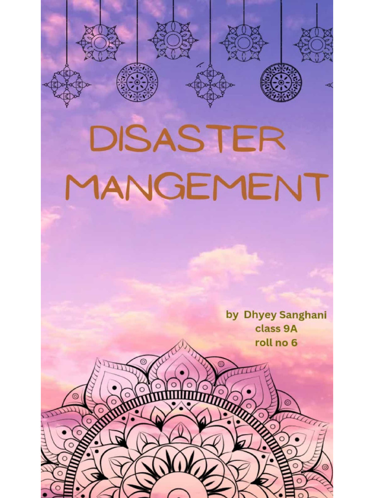 Disaster Management | PDF