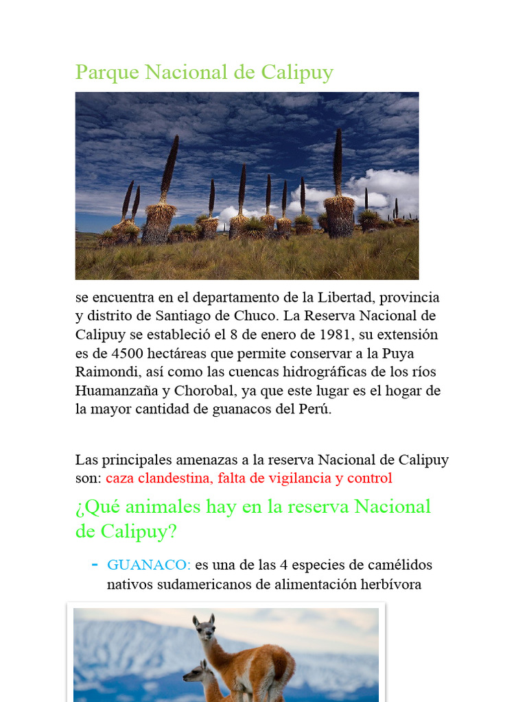 Parque Nacional de Calipuy | PDF