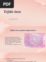 Células Oseas | PDF | Hueso | Osteoblastos