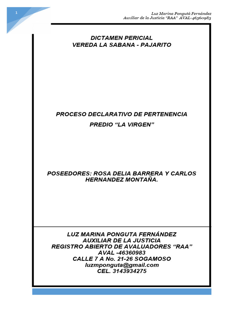 Dictamen Pericial de Pertenencia en Pajarito | PDF | Testigo experto