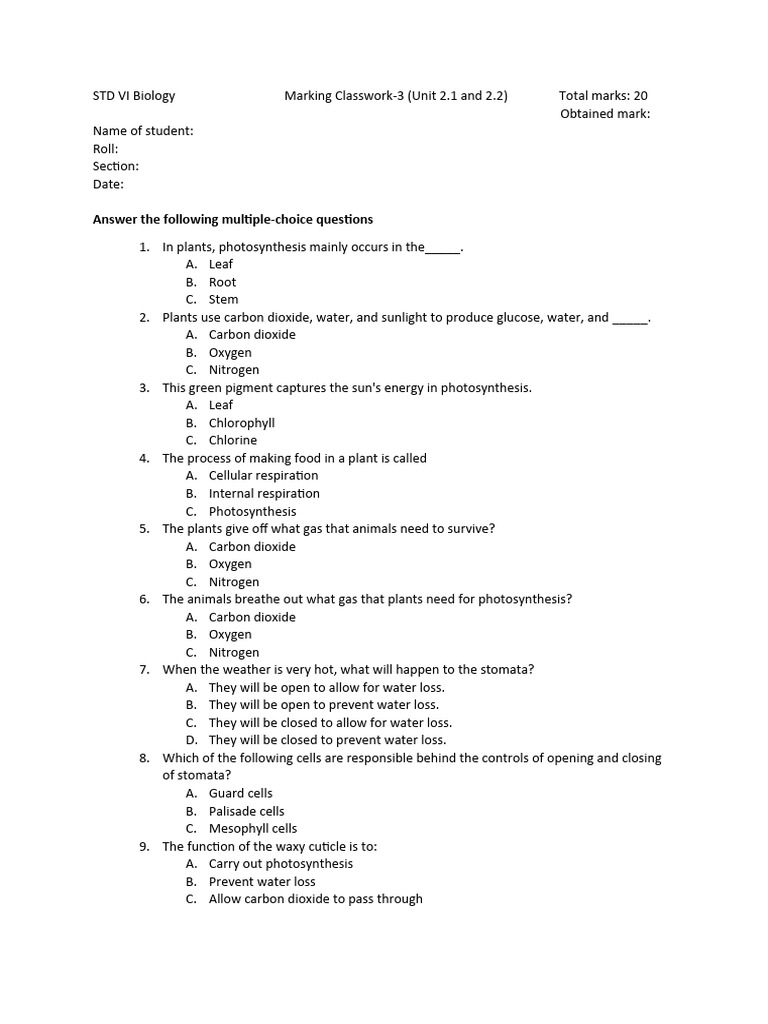 Multiple Choice Practice Questions For Unit Food Chain and Food Web ...