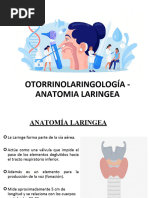 OLG. Nódulos y Pólipos Laringeos | PDF | Laringe | Anatomía humana