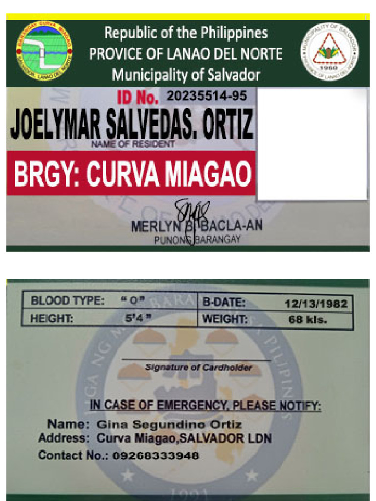 Barangay ID | PDF