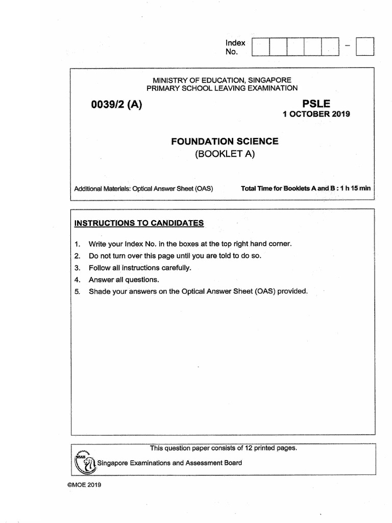 PSLE Foundation Science 2019 | PDF
