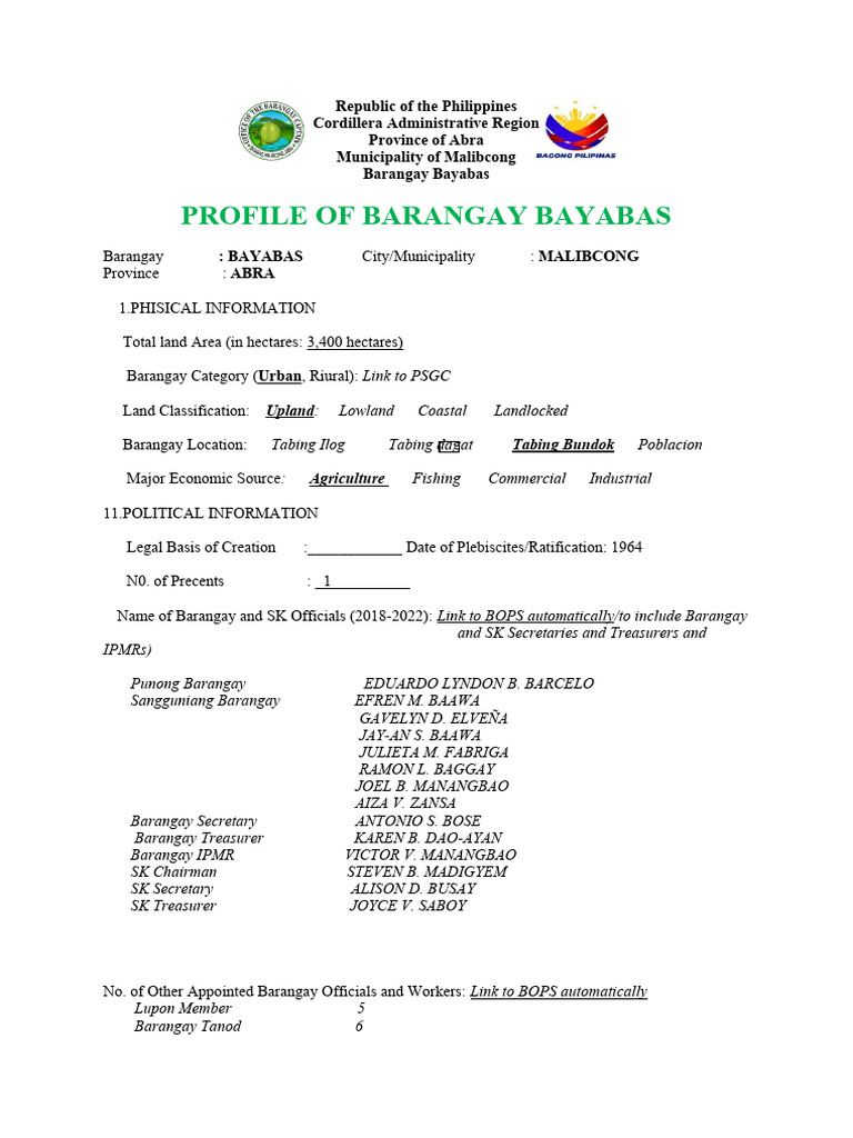 Brgy Profile Copy 2024 | PDF