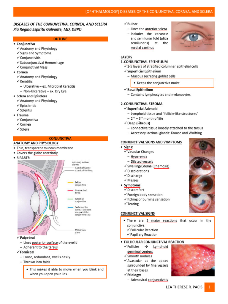 2.4diseases of The Conjunctiva, Cornea, Sclera (Pacis) | PDF | Cornea ...