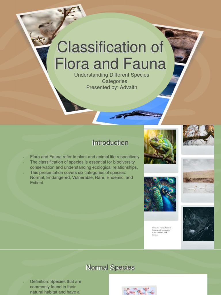 Classification of Flora and Fauna | PDF | Endangered Species ...