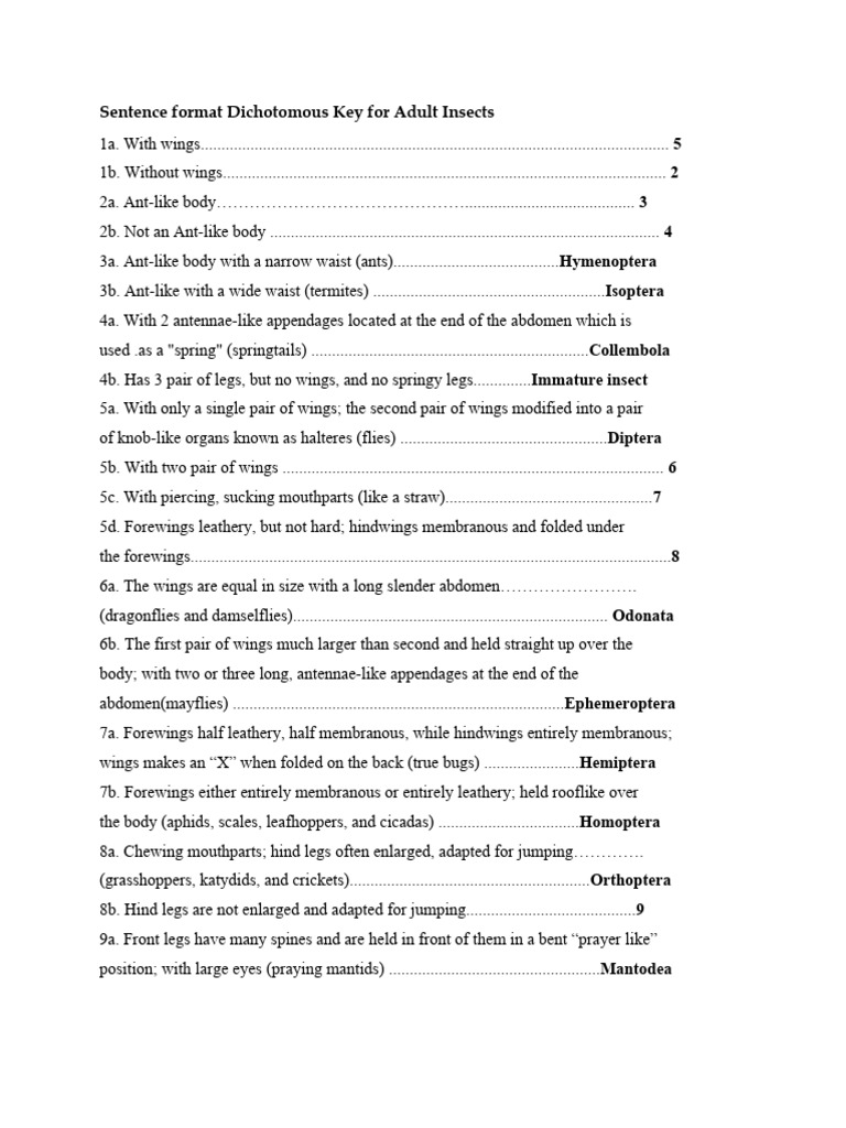 Dichotomous Key For Adult Insects | PDF | Insects | Insect Orders