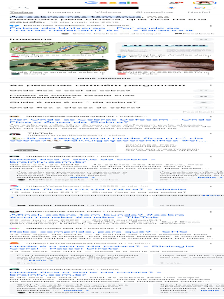 Onde fica a cloaca da cobra? | PDF | Serpente