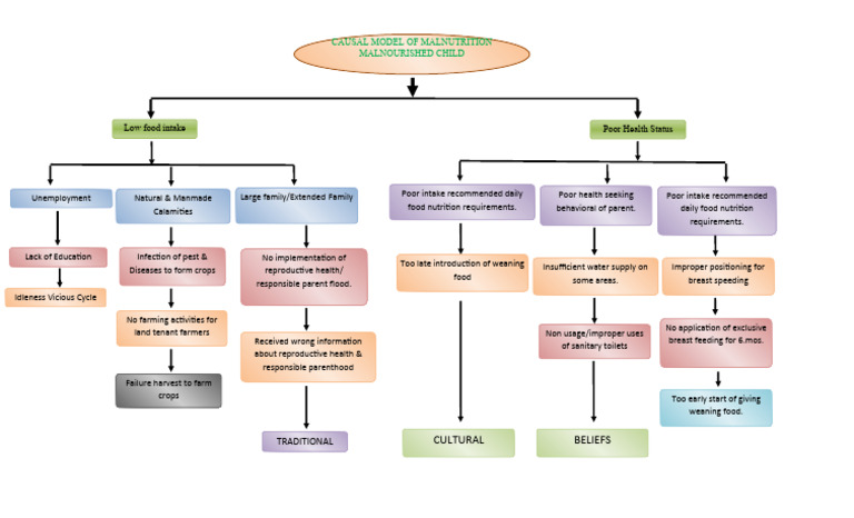 Causal Model of Malnutrition | PDF | Malnutrition | Nutrition