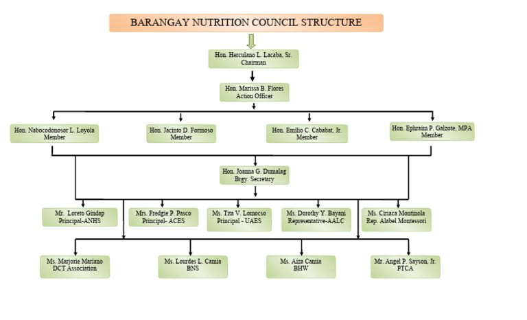 BNC Structure | PDF