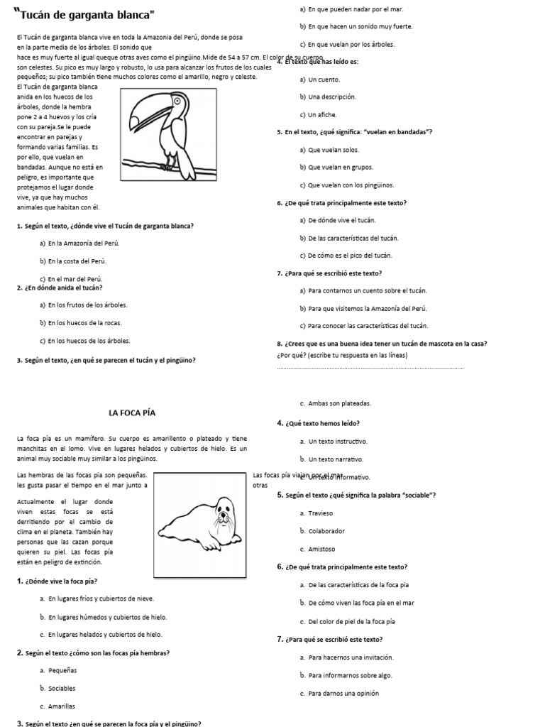 Textos Descriptivos Primaria Comprensión Lectora MInt | PDF | Osos | Aves