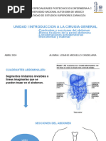 Planos Anátomicos Del Abdomen | PDF
