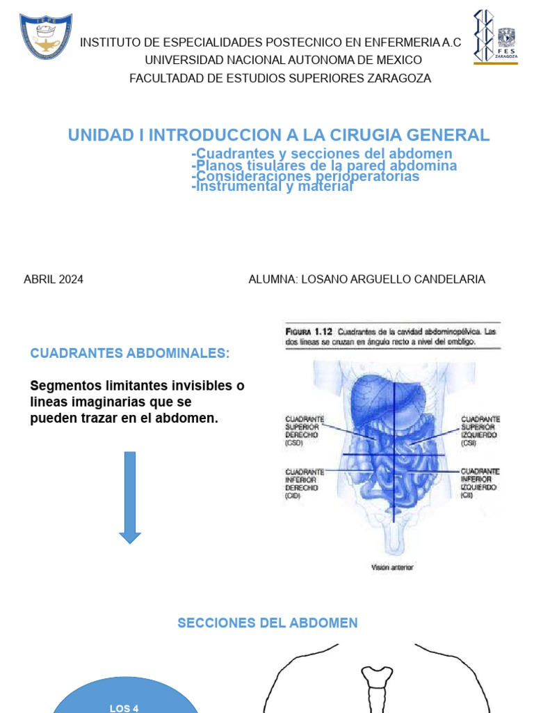 Introduccion A La Cirugia General | PDF | Abdomen | Músculo