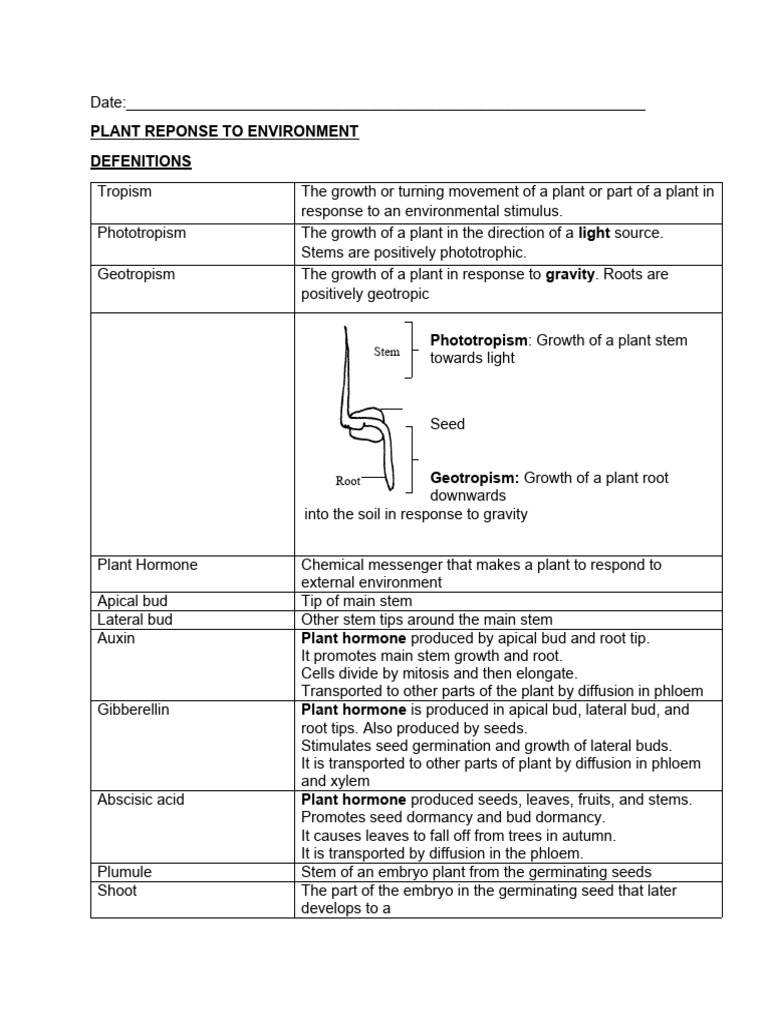 Plant Responses to Environmental Stimuli | PDF | Auxin | Plant Hormone
