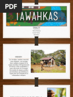 Informe de Los Tawahkas | PDF | Honduras | Agricultura