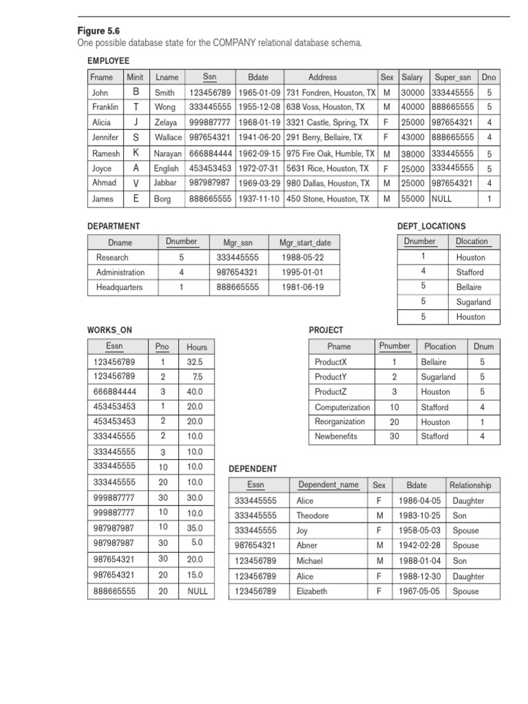 Company Database | Download Free PDF | Databases | Data Management Software