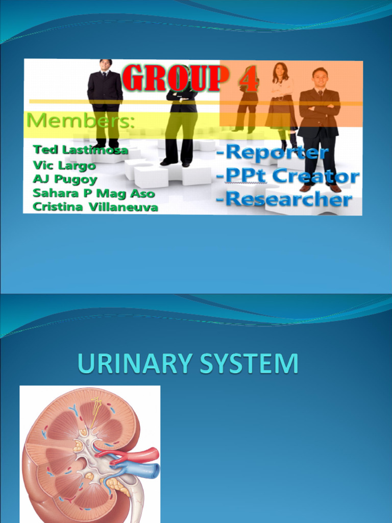 Urinarysystem gr4 | PDF