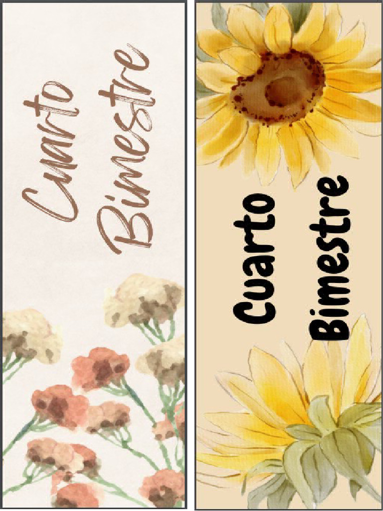 Caratulas del cuarto B | PDF