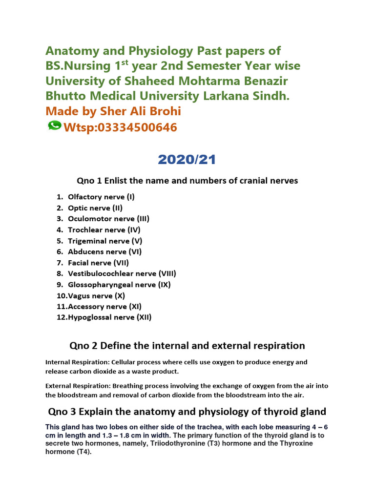 Anatomy and Physiology Past Papers of BSN 2nd Semester | PDF | Ear ...