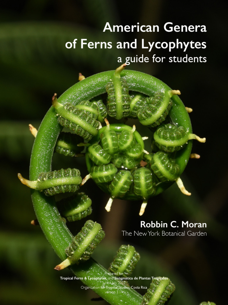 Moran 2022 Fern Guide | PDF | Plants | Botany
