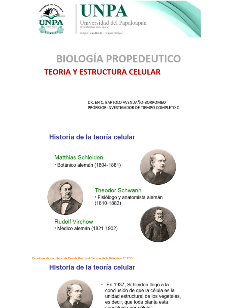 Teoría Celular: Fundamentos y Transporte | PDF | Mitosis | Biología ...