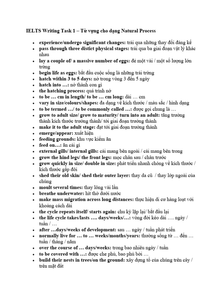 IELTS Writing Task 1 | PDF