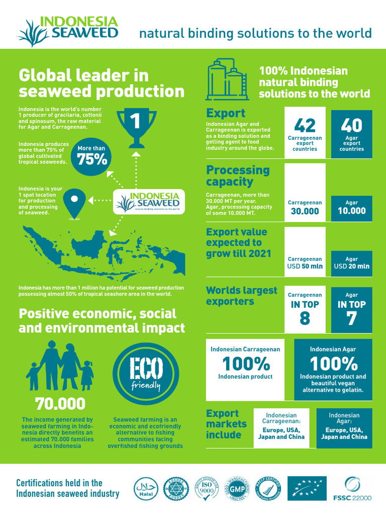 Infographic-Seaweed-A4.pdf | Download Free PDF | Seaweed | Agar