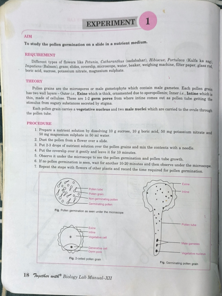 Bio Practicals PDF | PDF