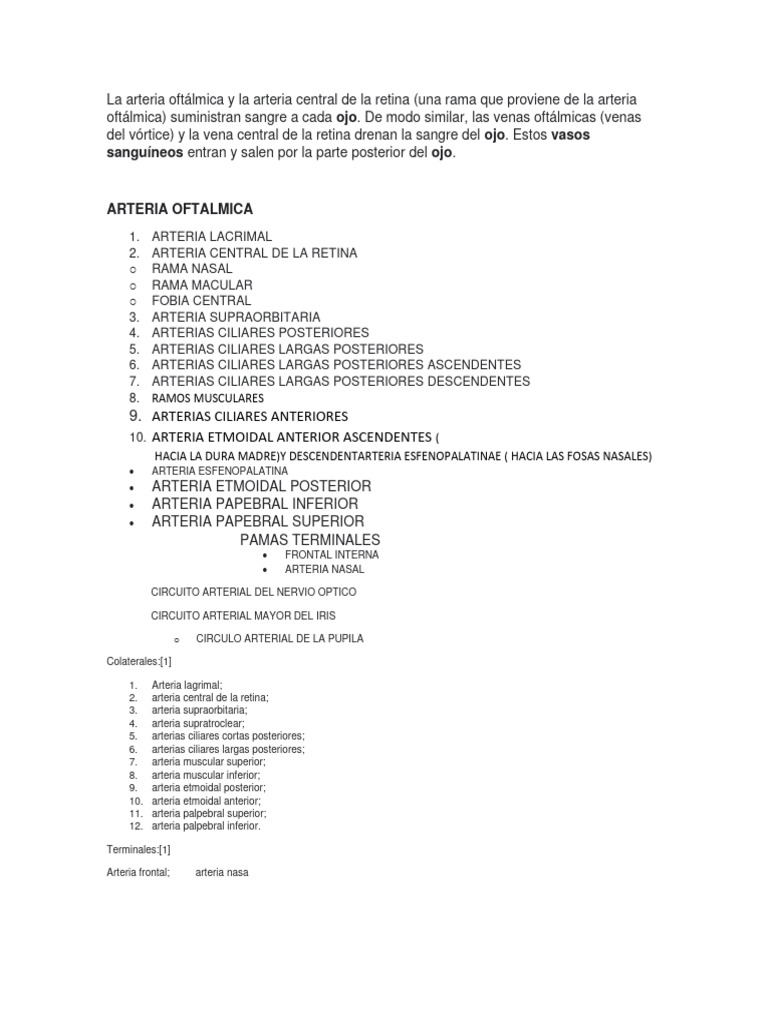 Arterias Del Ojo | PDF