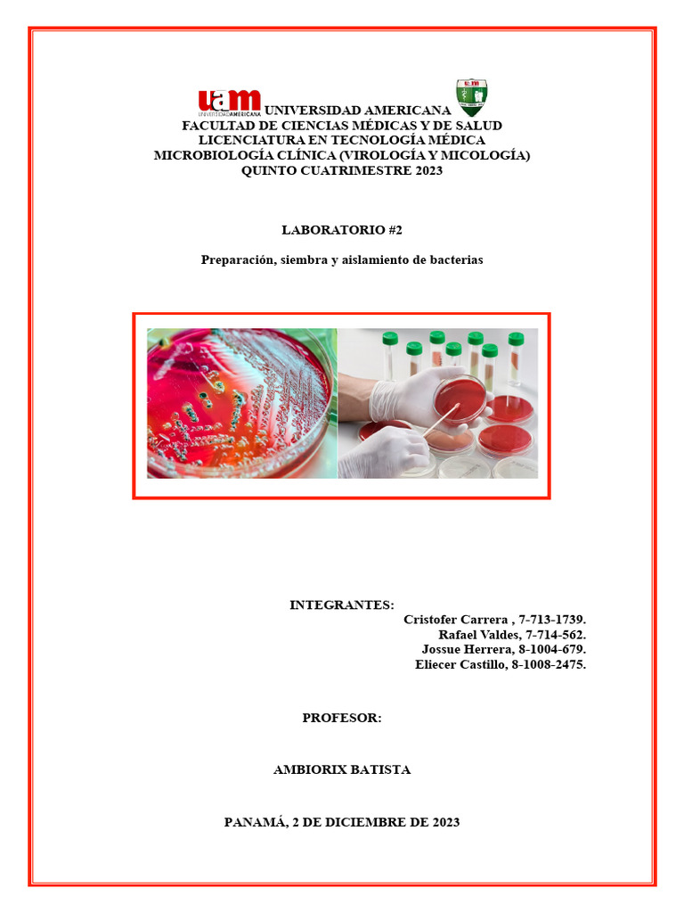 Imforme de MICRO #2 | PDF | Las bacterias | Biología