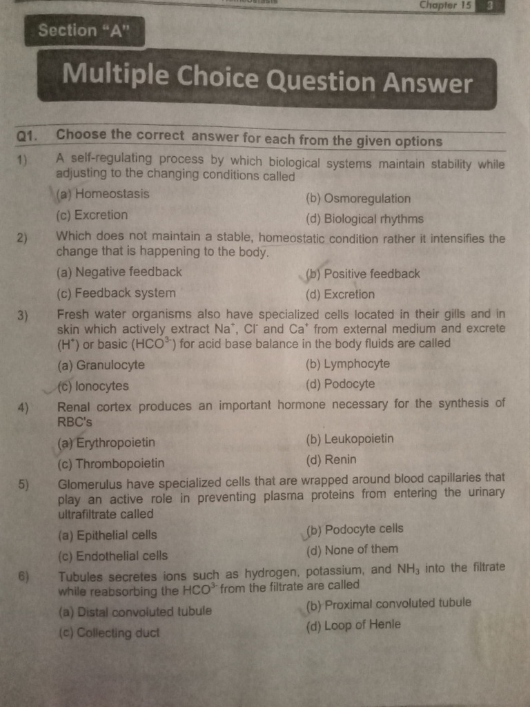 Homeostasis 12 Biology Mcqs | PDF