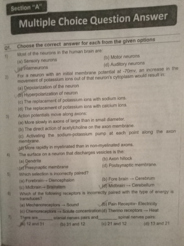 Nervous Coordination 12 Class Biology Mcqs | PDF