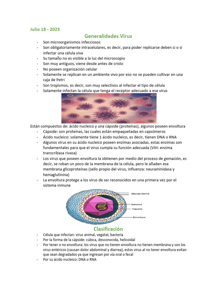 Generalidades Virus (Yaneth) | PDF | Virus | Adn