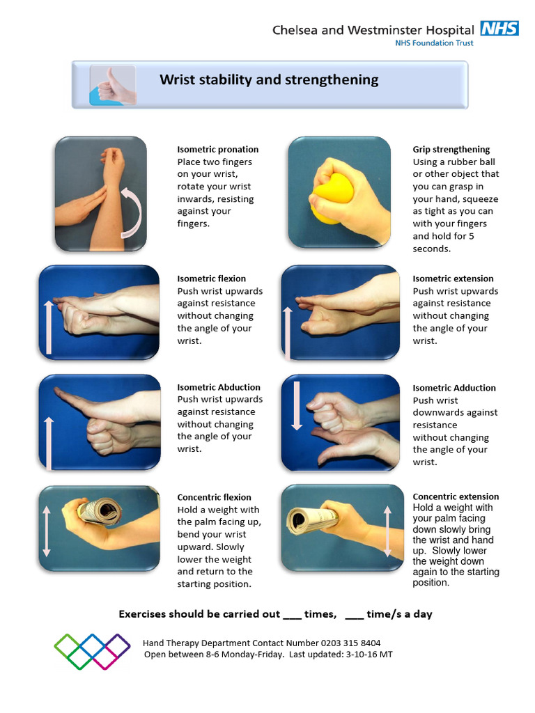Wrist Stability and Strengthening Exercises | PDF | Anatomical Terms Of ...